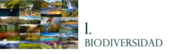 5 DATOS CURIOSOS SOBRE COLOMBIA - Nueva Lengua Spanish School